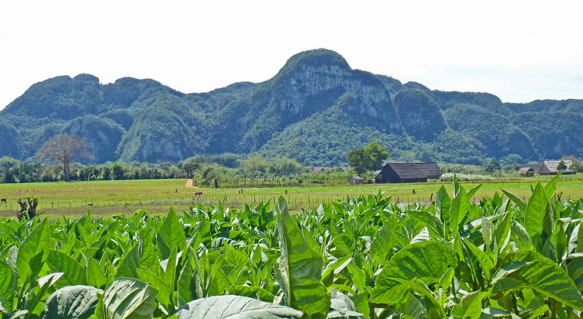 E-Mail aus Kuba - Globetrotter-Magazin